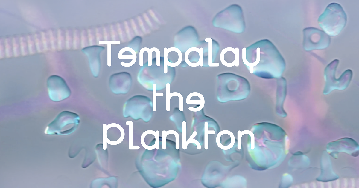 WHAT'S NEW | Tempalay the plankton